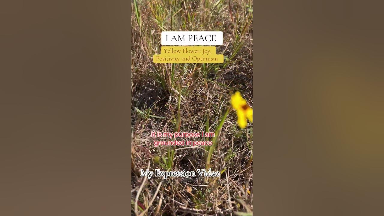 I am Peace! - YouTube