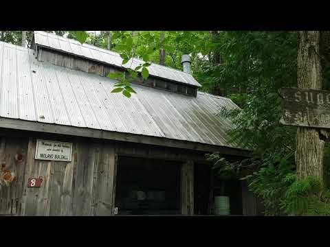 Wye Marsh Wildlife Centre - YouTube
