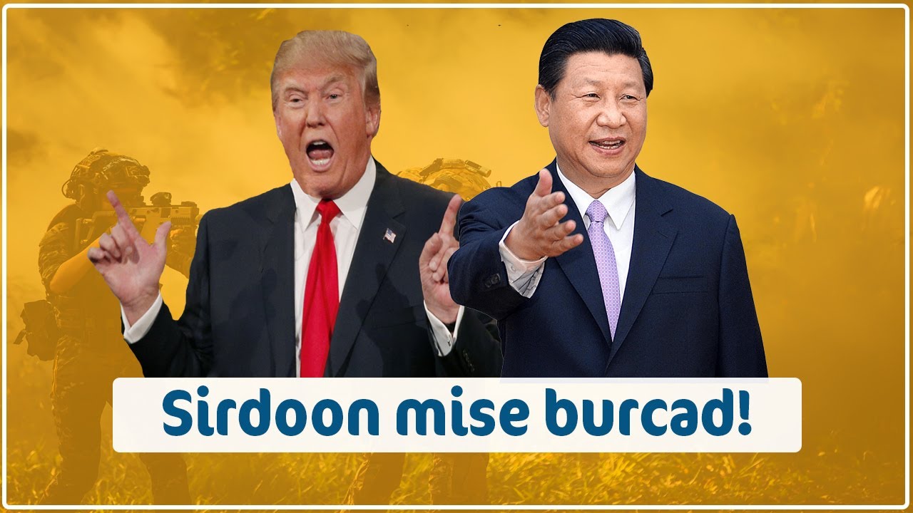 Sirdoonka Shiinaha | Sirdoon mise burcad! - YouTube