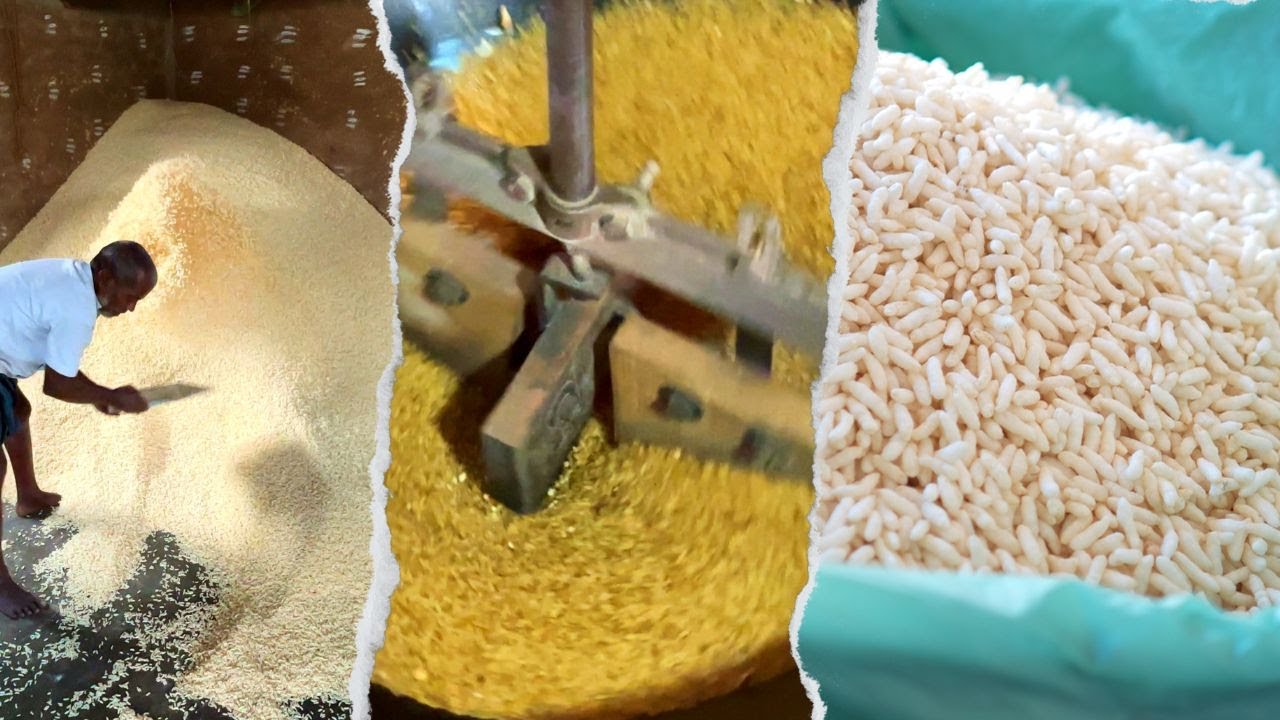 Starting a Profitable Cottage Industry: Puffed Rice Production at Home ...