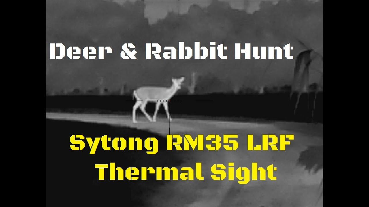 Sytong Thermal - Rabbit Deer Hunt - YouTube