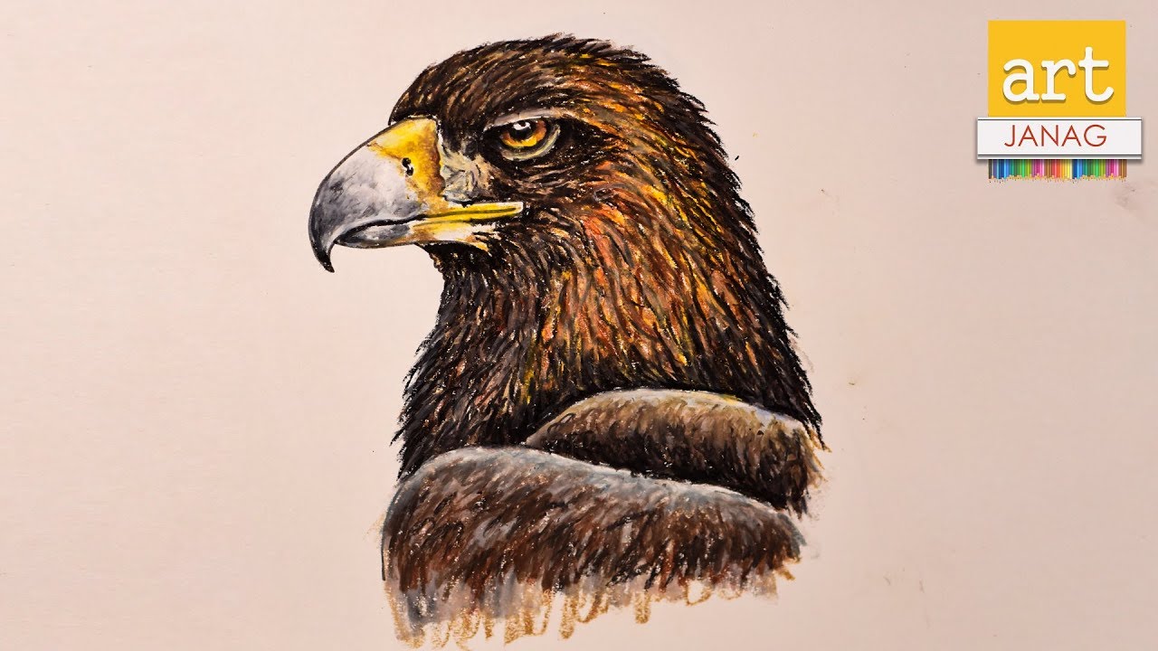 How To Draw an Eagle | Step by Step II By Art JanaG - YouTube