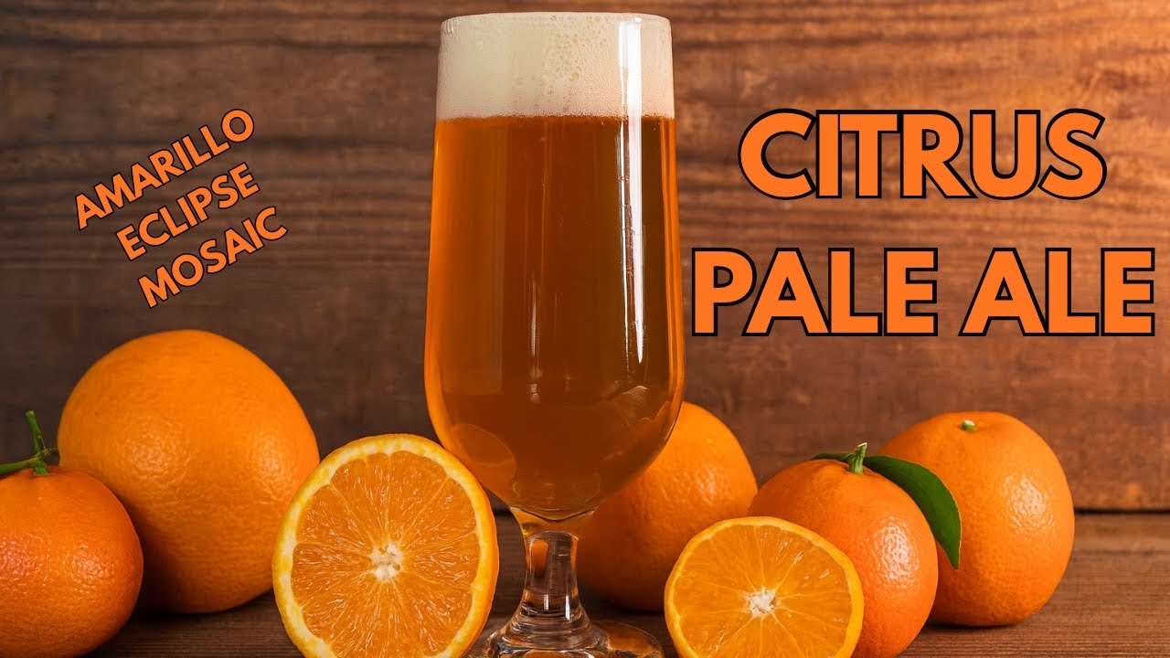 Orange & Mandarin Peel | Homebrew Pale Ale Extract Recipe | Amarillo ...