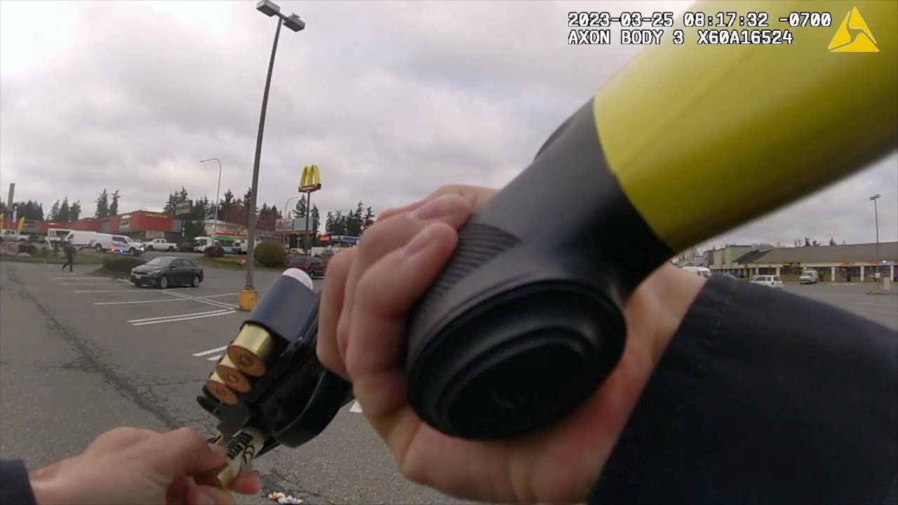 DEPUTIES USE LESS-LETHAL BEAN BAGS TO ARREST BURGLARY SUSPECT - YouTube