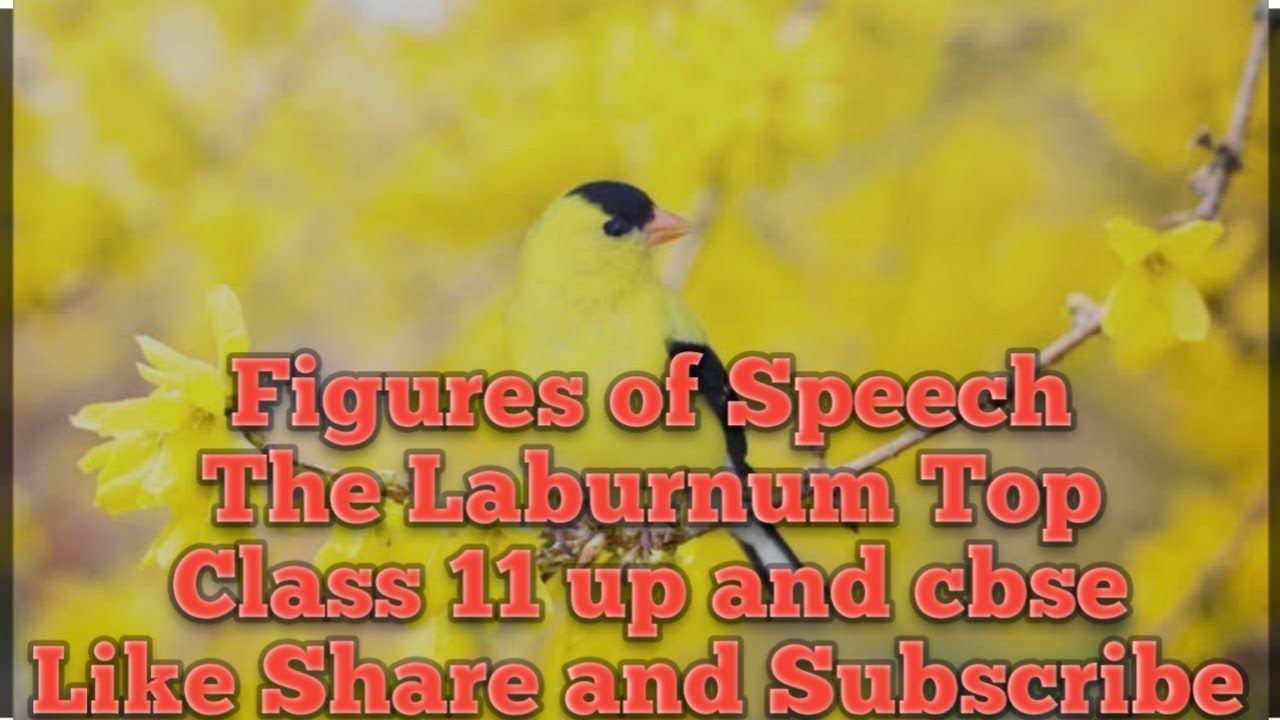 The Laburnum Top ( Figures of speech) class 11 - YouTube