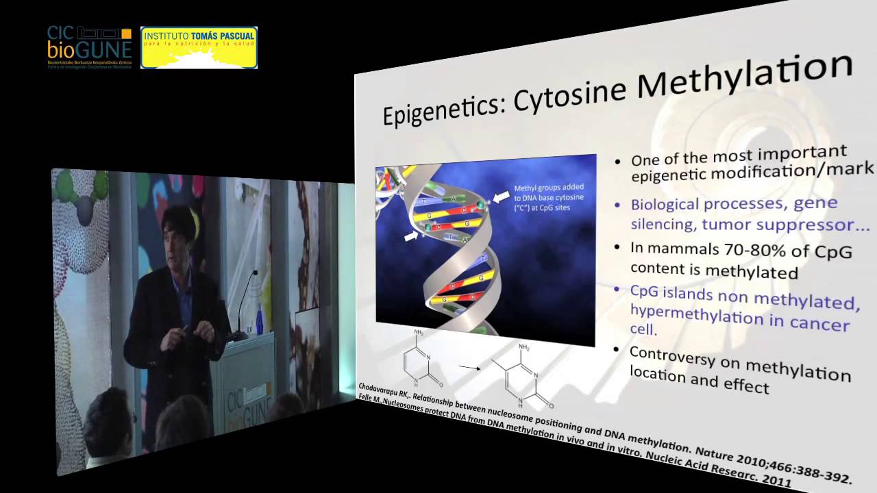 8th anniversary Special Lecture: PhD Modesto Orozco - Simulating DNA ...