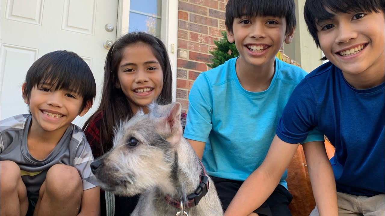 Our Kids First Dog! - YouTube