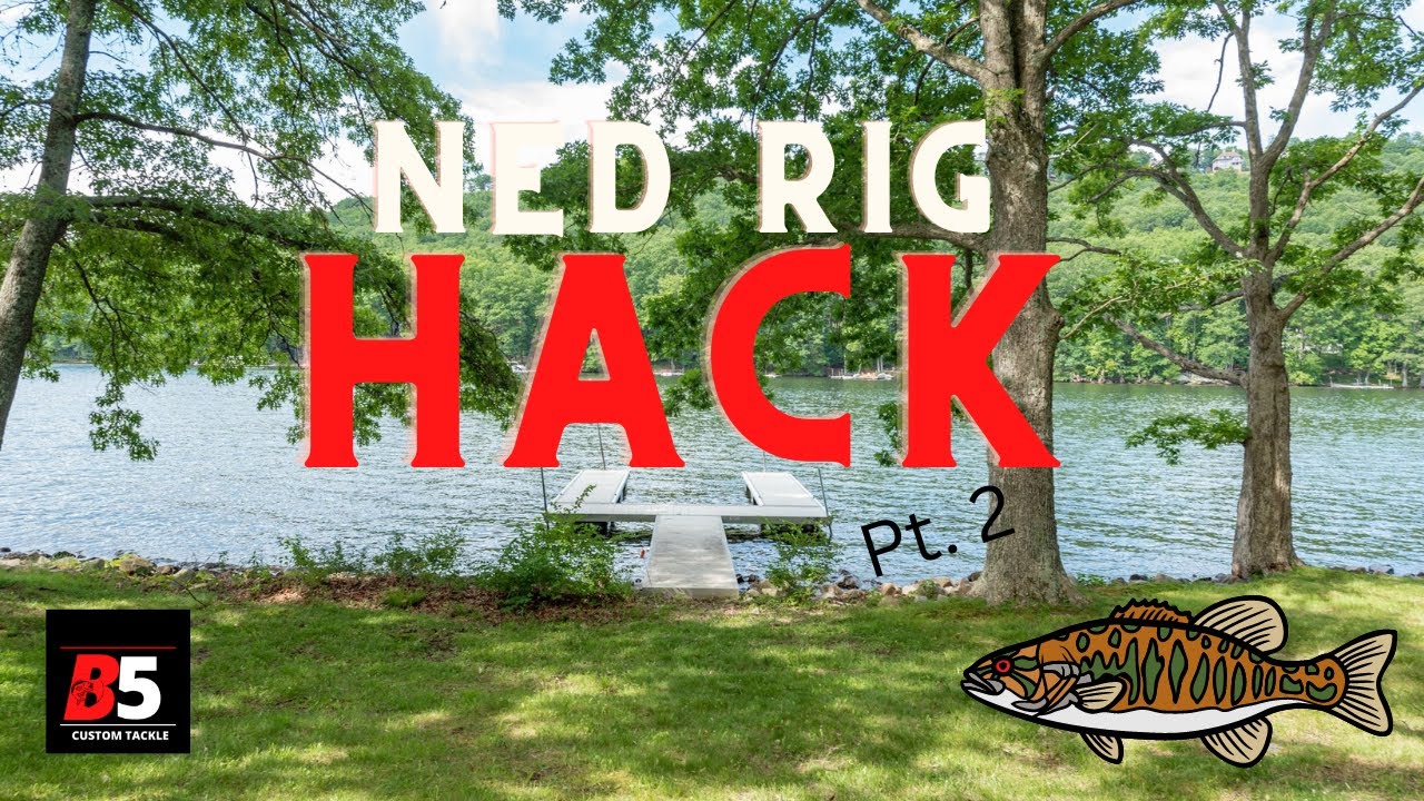 Ned Rig Hack Series-- Presentations for Fall Transition Smallmouth Bass ...