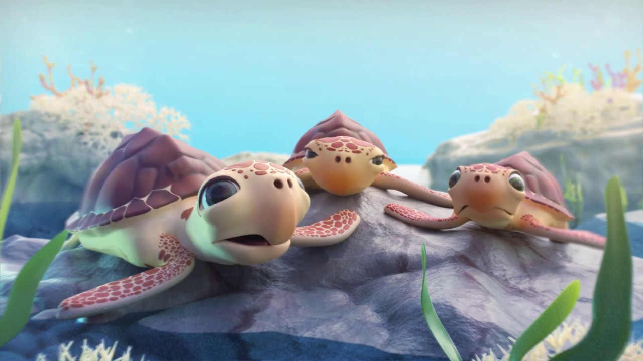 AQWA - Did You Know - Turtle Tears - YouTube