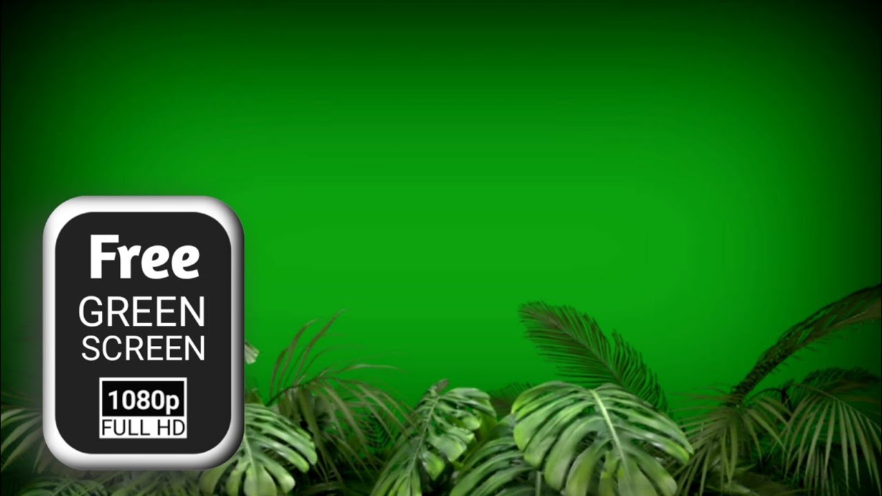 Tropical plant leaves green screen video | green screen flying | leaf ...
