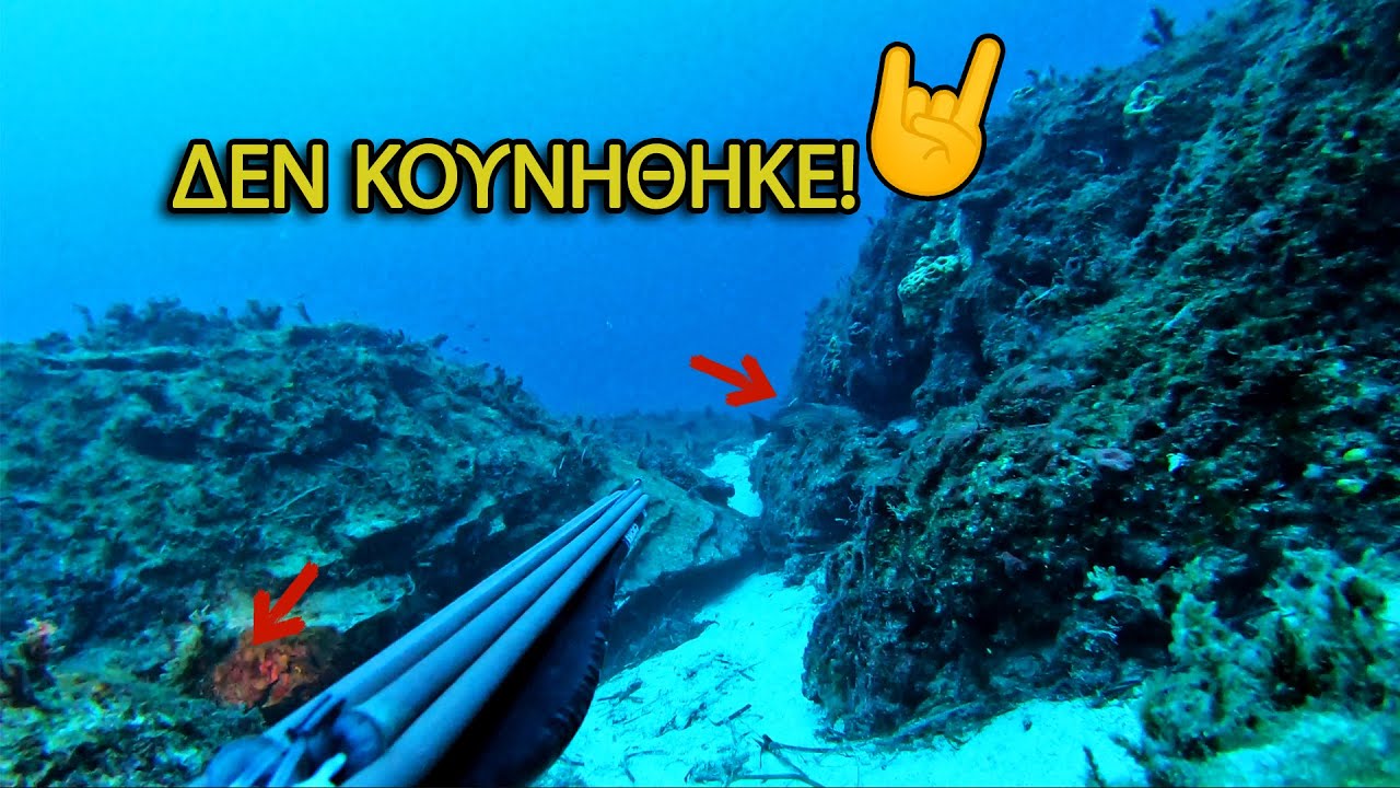 ΕΠΕΣΕ ΜΕΣΑ ΣΤΗΝ ΦΩΛΙΑ ΤΩΝ ΨΑΡΙΩΝ 😨🤷‍♂️ HE FOUND THE FISH NEST! - YouTube