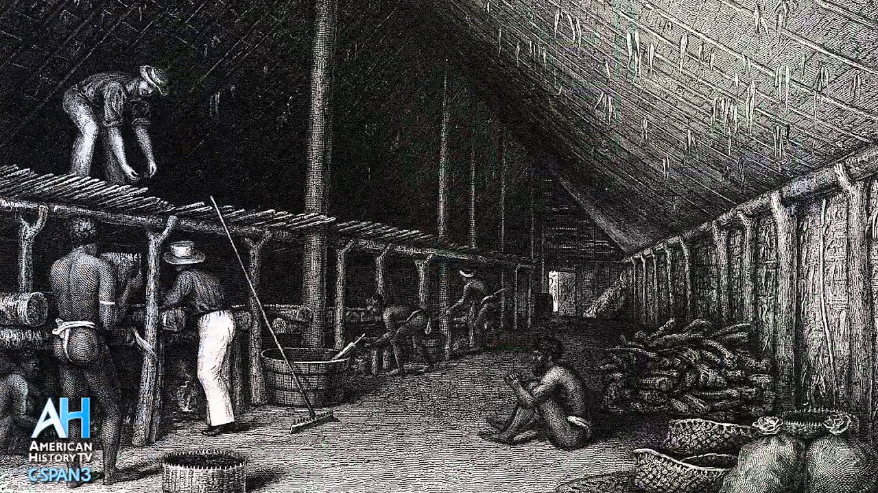 American Artifacts Preview: U.S. Exploring Expedition of 1838-1842 ...