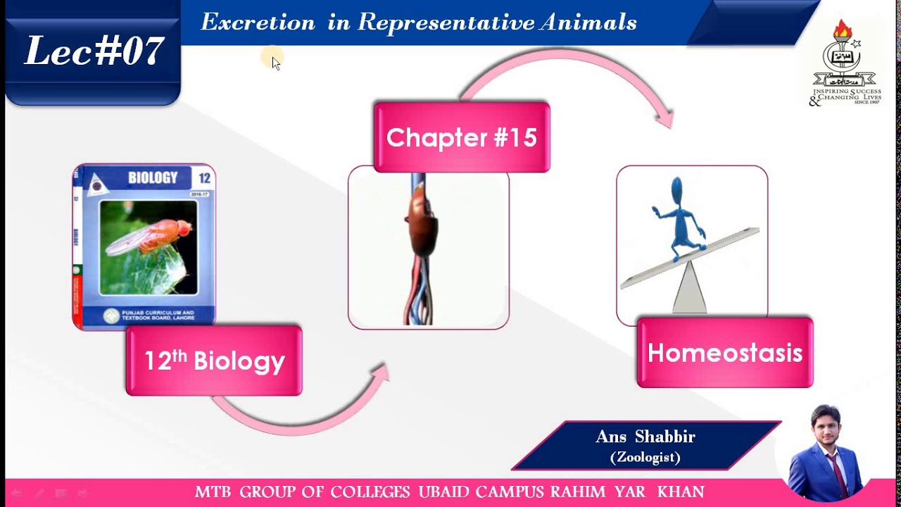 Chap#15,Lec#7 Excretion in Hydra and Planaria I Ans Shabbir I MTB ...