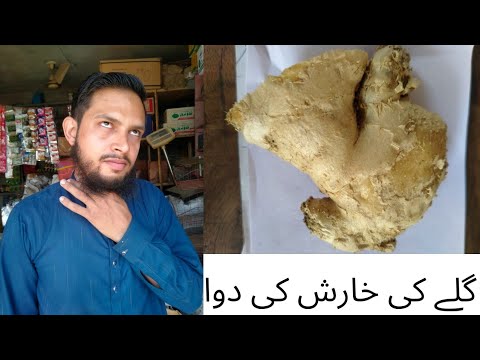 darchini badyan long Badi ilayachi chhoti ilayachi - YouTube