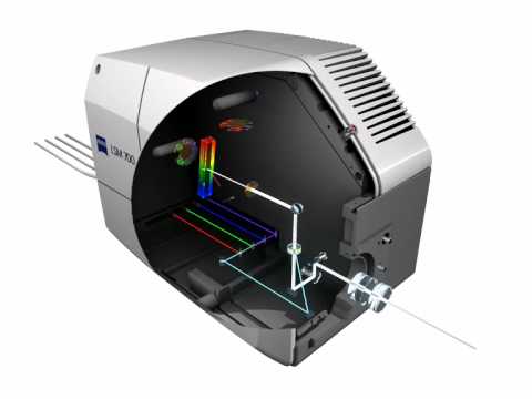 Confocal scanning module - beampath of CLSM - YouTube