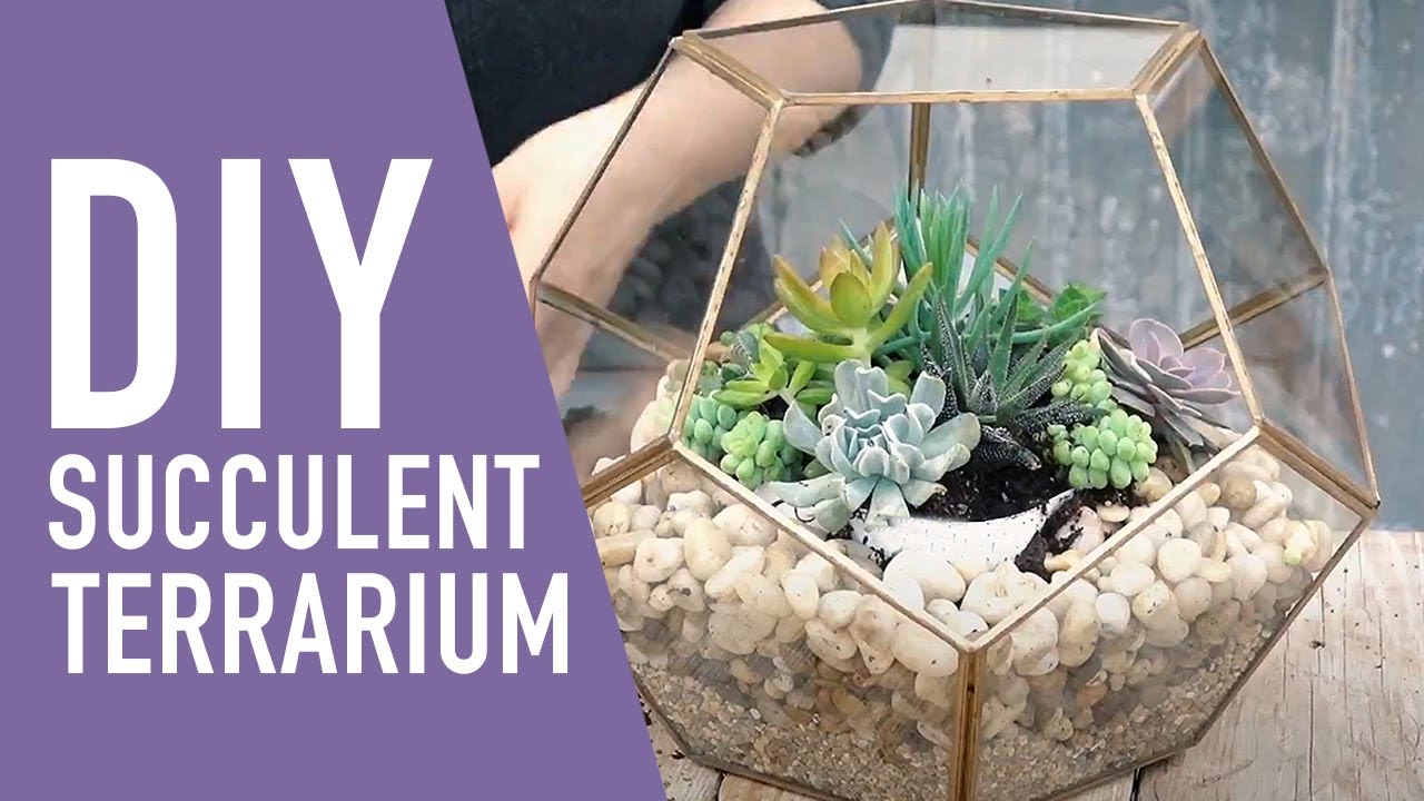 Make Your Own Succulent Terrarium 🌿 || West Coast Gardens - YouTube