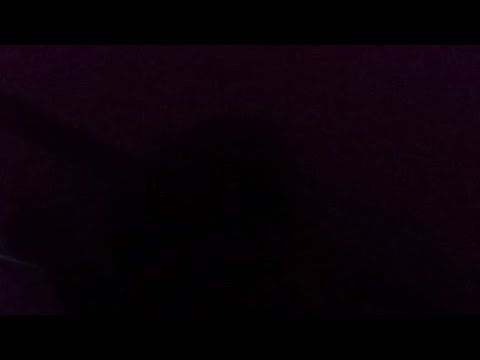 joel mejos tv is going live! - YouTube