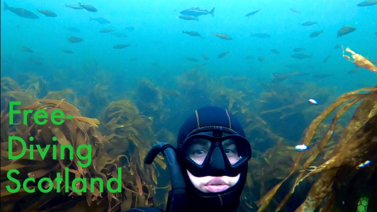 Snorkeling and freediving at Findochty North Scotland - YouTube