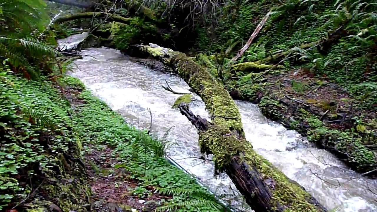 Micro hydro power blocked intake - YouTube