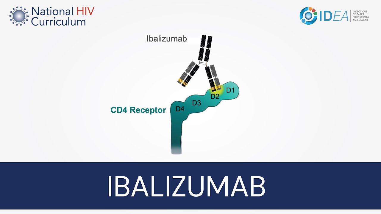 Mini-Lecture Series: Ibalizumab - YouTube