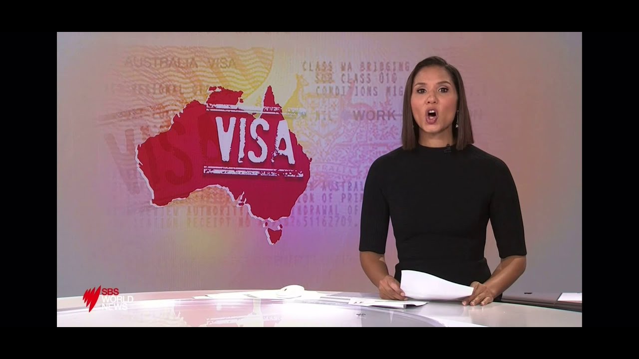 SBS News interview - YouTube