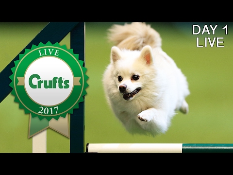 Day 1 Live | Crufts 2017