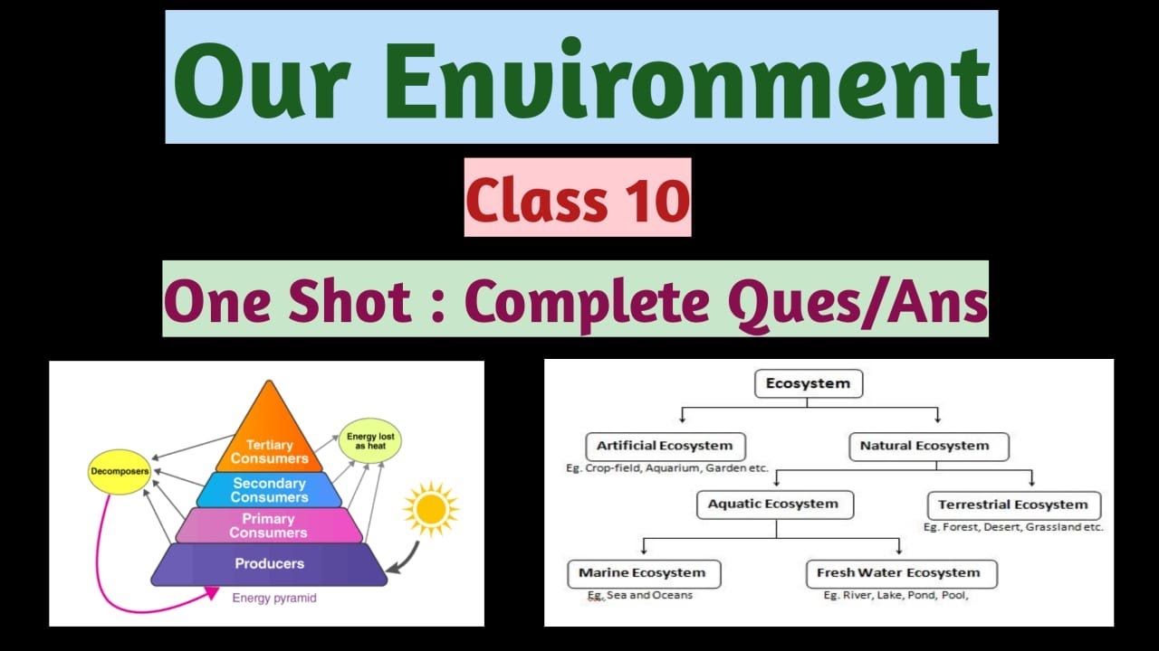 Our Environment || Class 10th || Chapter 15 || NCERT SOLUTION ...