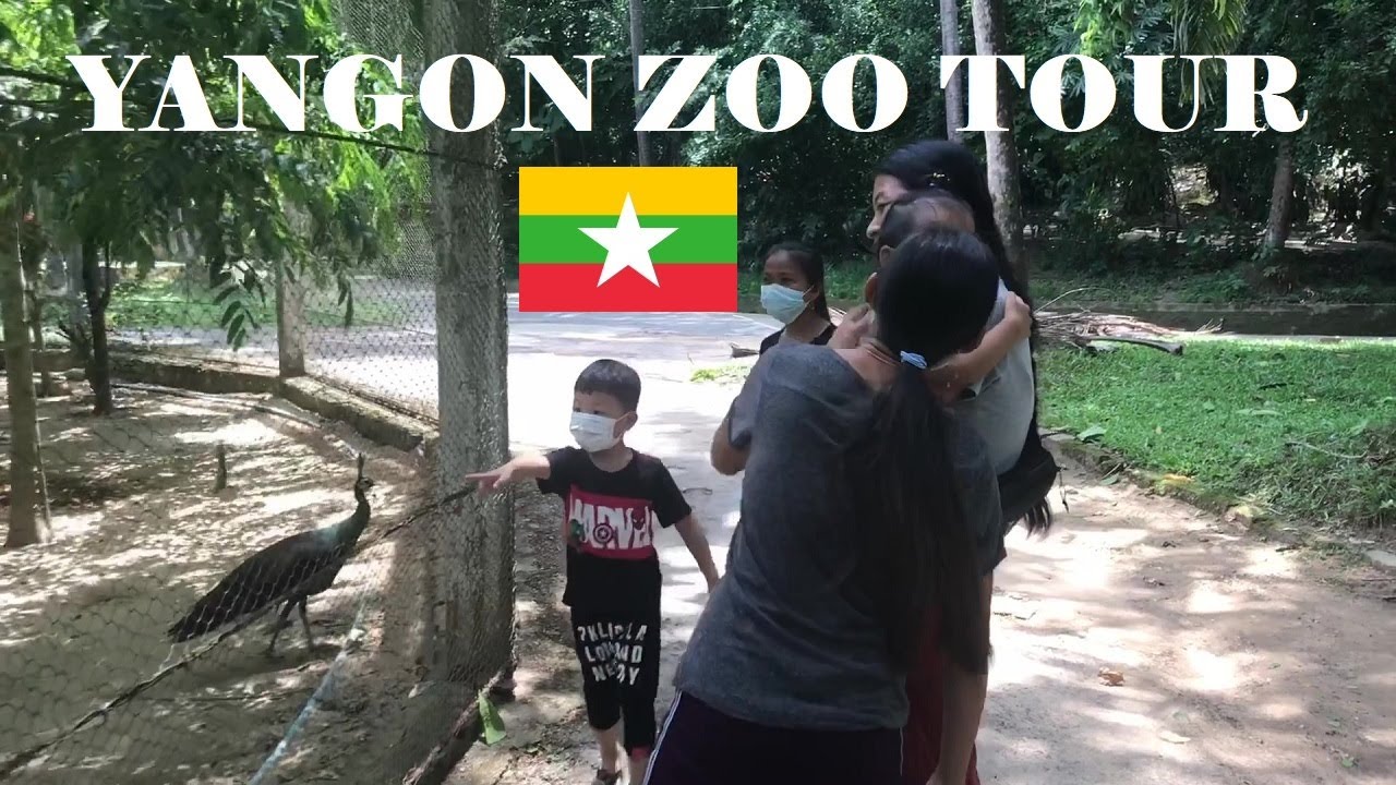YANGON ZOO TOUR 🇲🇲 - YouTube