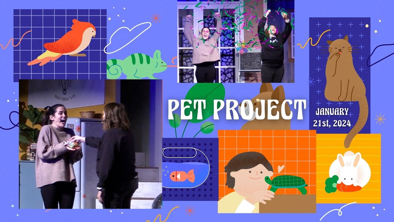 The Pet Project: Work hard - YouTube