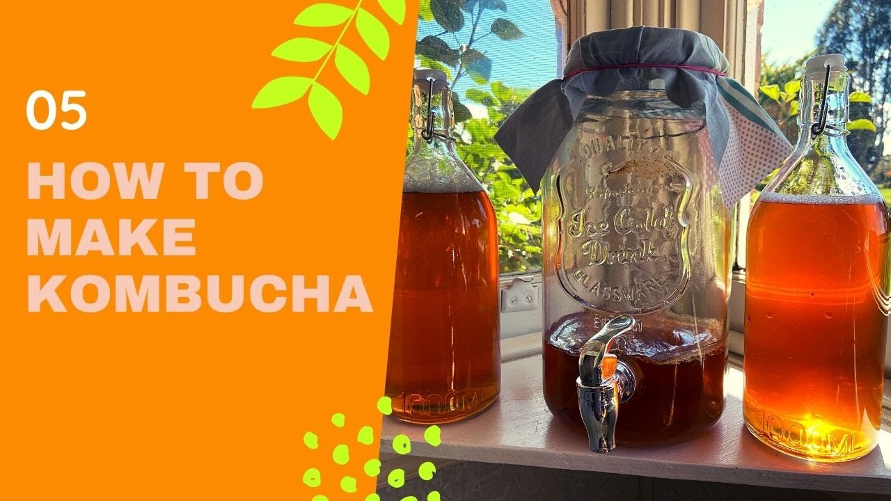 How to make KOMBUCHA // Easy Method - YouTube