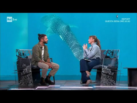 Immersione con Marco Spinelli - Kilimangiaro - 24/11/2024 - YouTube