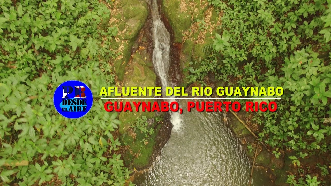 un PARAÍSO ESCONDIDO en AFLUENTE DEL RÍO en GUAYNABO - YouTube