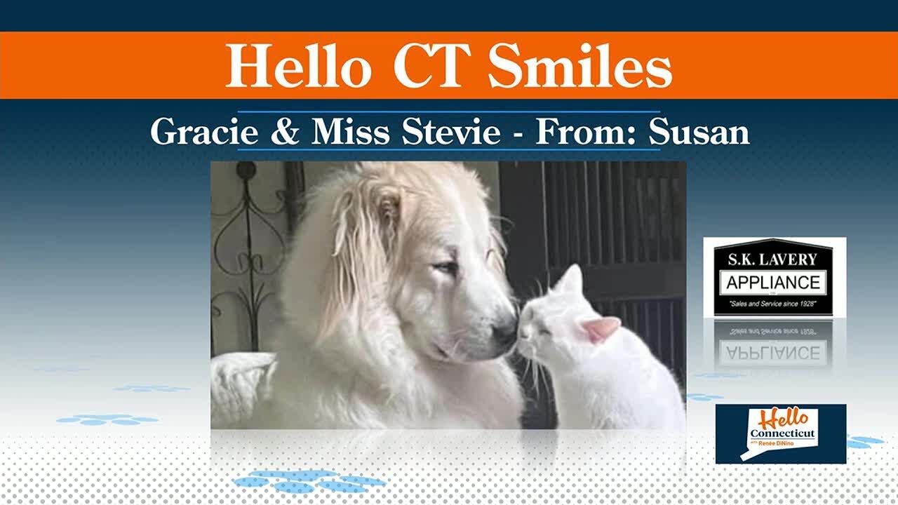 HELLO CONNECTICUT Smiles - YouTube