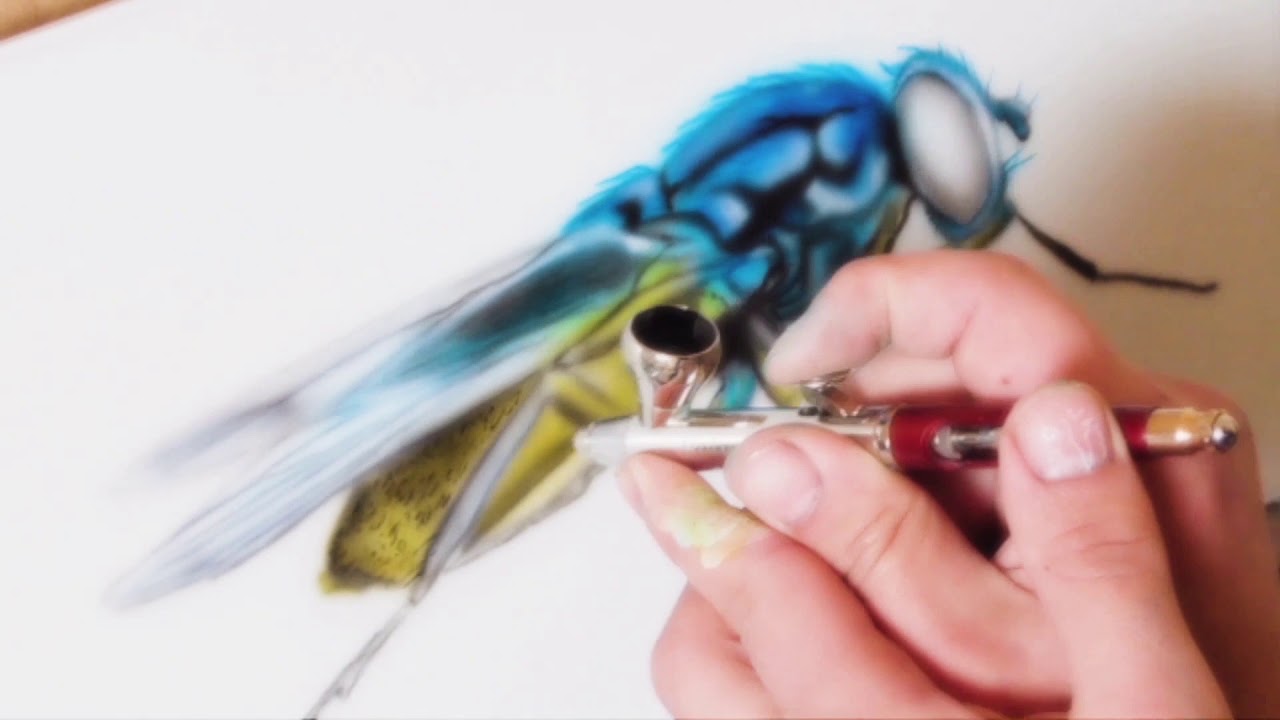 Painting a FLY!!! (Airbrush malba) - YouTube