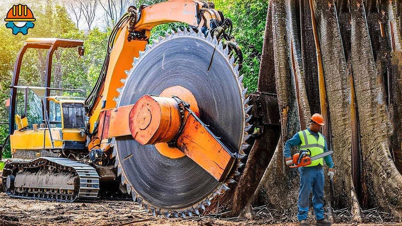 200 Fastest Big Chainsaw Cutting Tree Machines Skills | Tree Felling ...