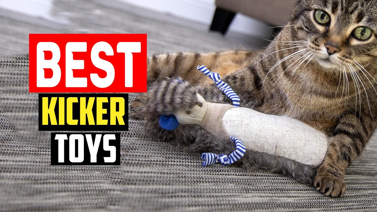 Top 5 Best Kicker Toys For Cats in 2025 - YouTube