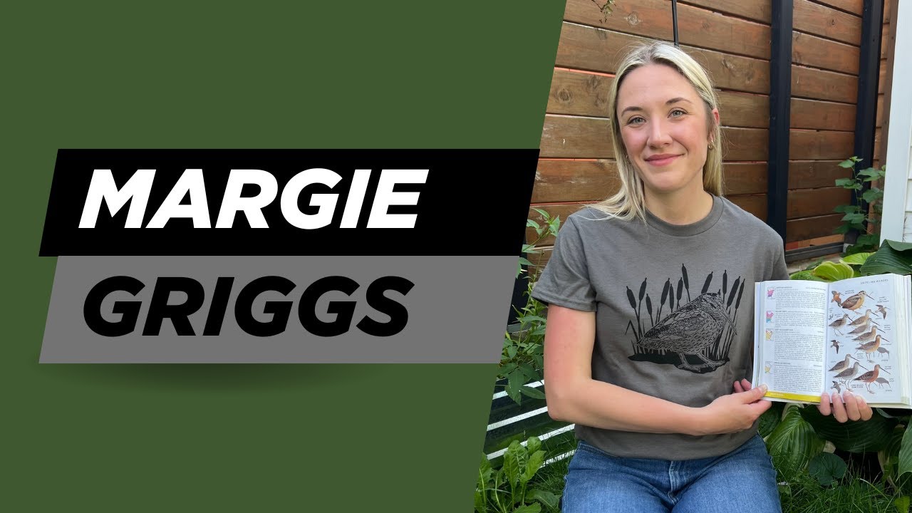 Badgerland Birding Podcast Ep 86 - What it's Like Being a Bird Artist ...