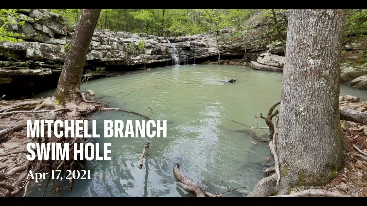 Mitchell Branch Swim Hole & Falls, Ouchitas near Danville, # ...