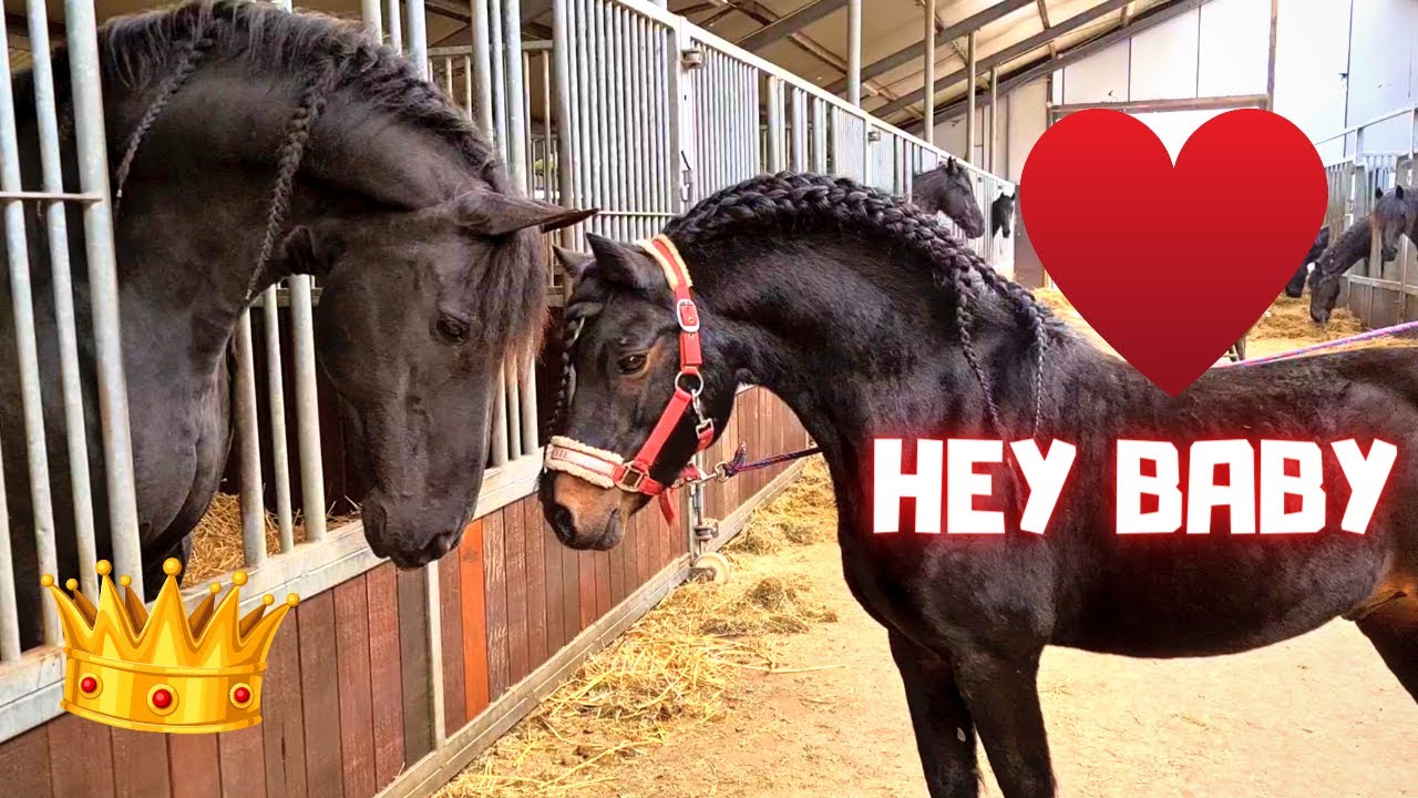 Hey baby, look how pretty I am! Johnny says hi to Queen👑Uniek ...
