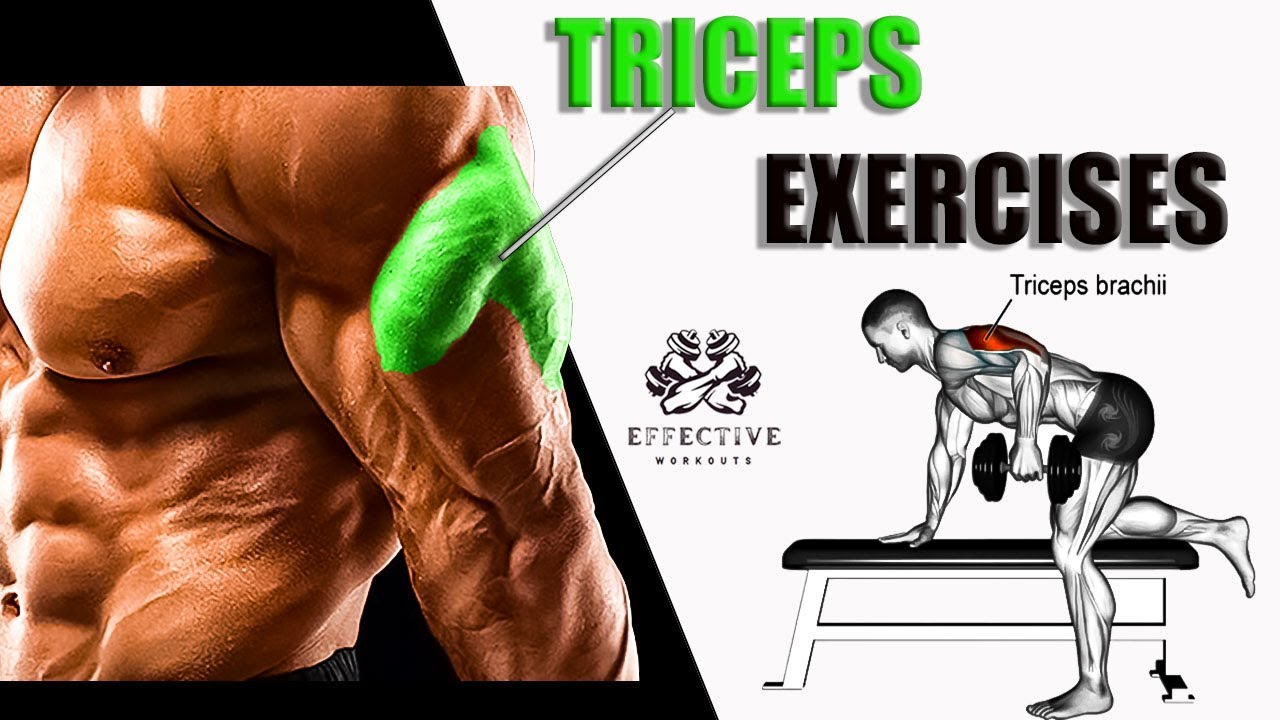 Most Effective Exercises That Make Triceps Grow Fast - Wider Triceps ...