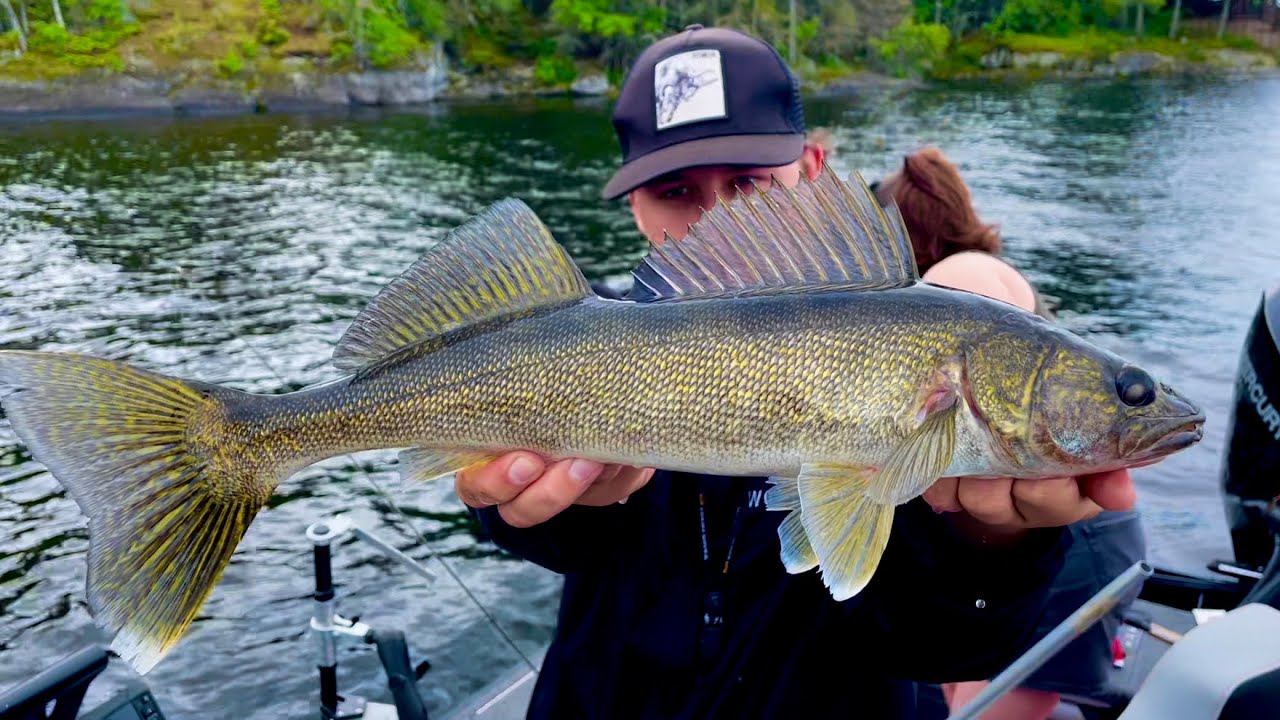 Lake of the Woods Walleye Fishing! Family Fishing Day! - YouTube