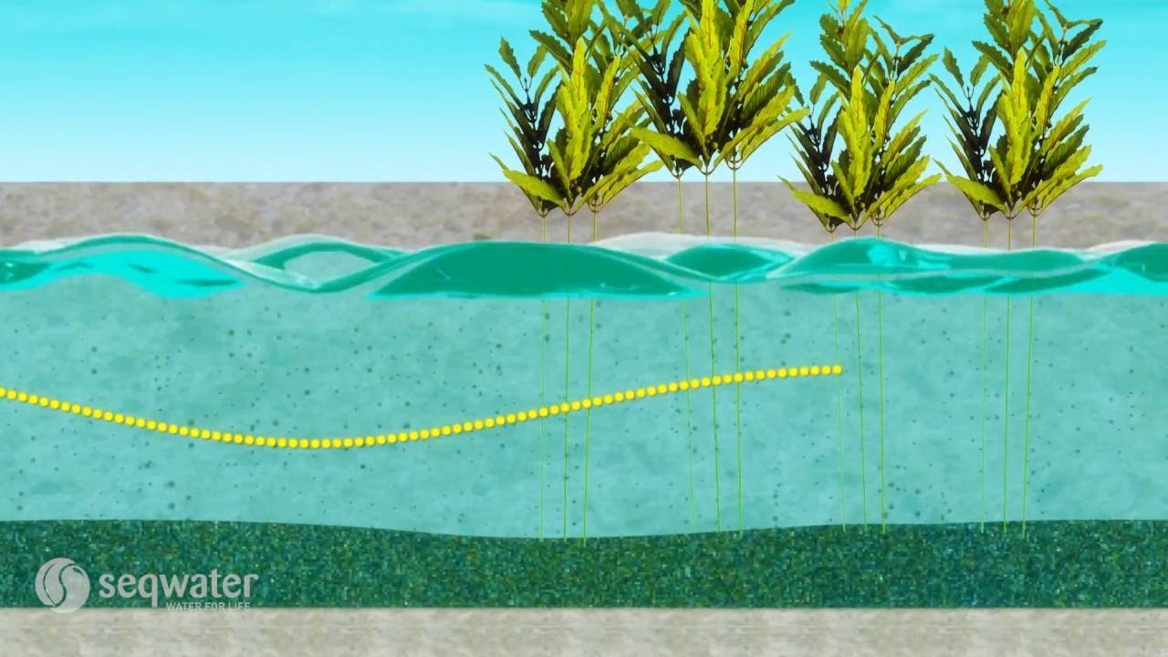 Seqwater explains: Decentralised schemes - a water source option - YouTube