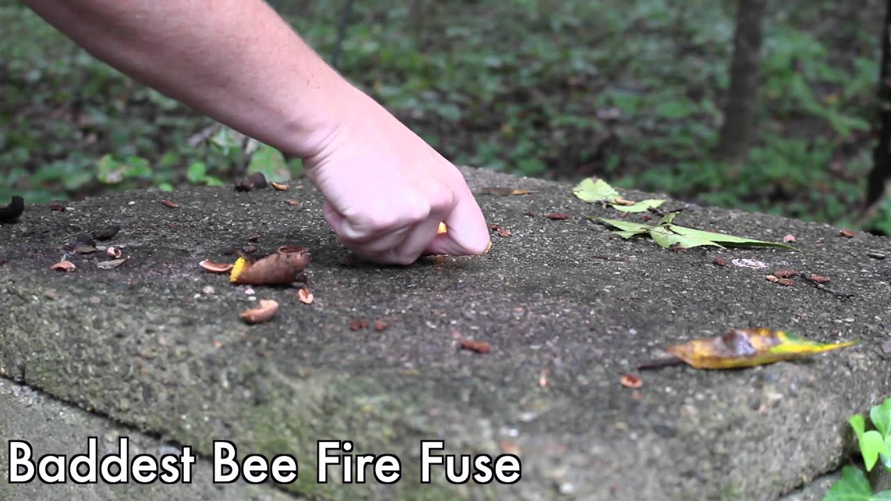 Baddest Bee Fire Fuse - Burn Test by 5col Survival Supply - YouTube