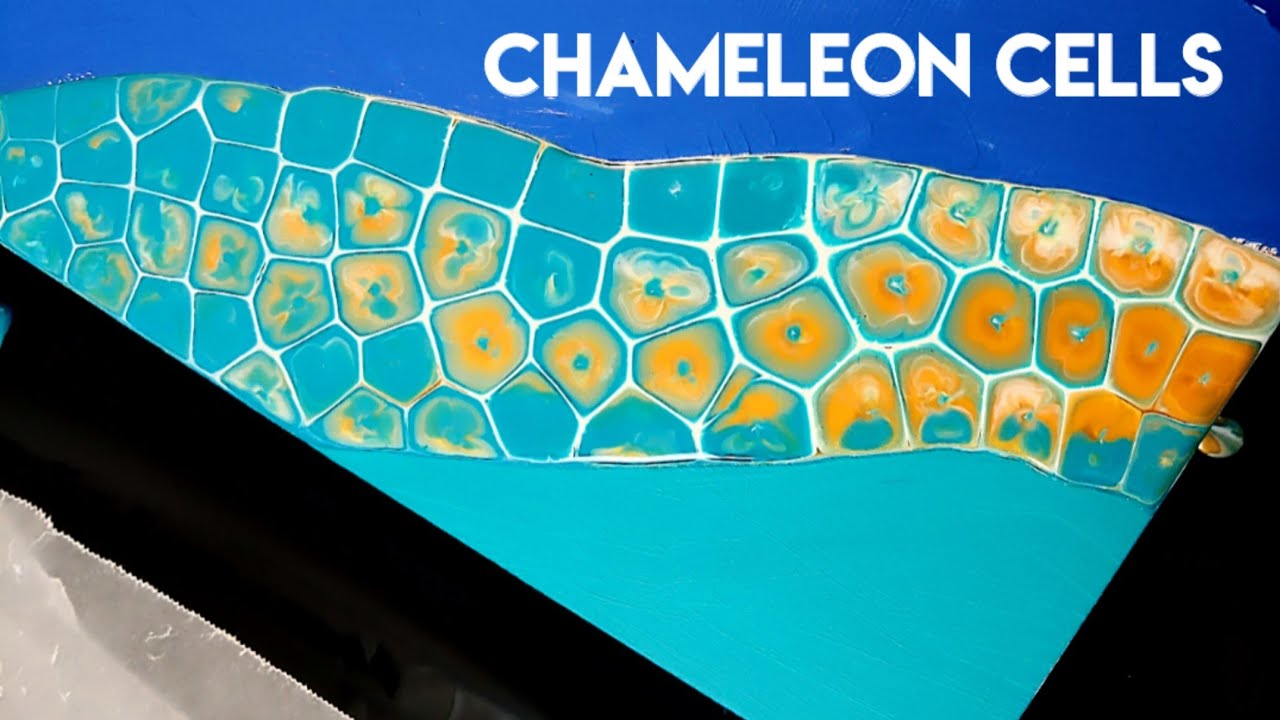 #63 Chameleon Cells | Fluid Art for Beginners | Manipulating the Cells ...