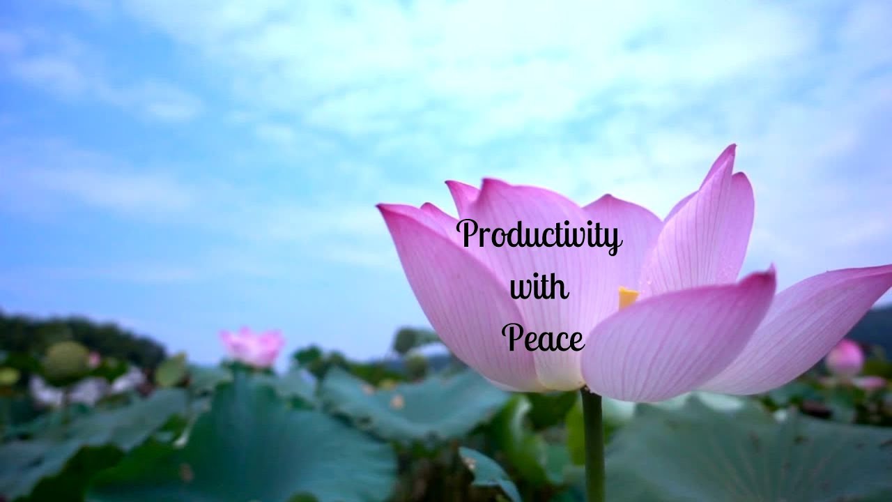 Day 16 : Productivity with Peace - YouTube