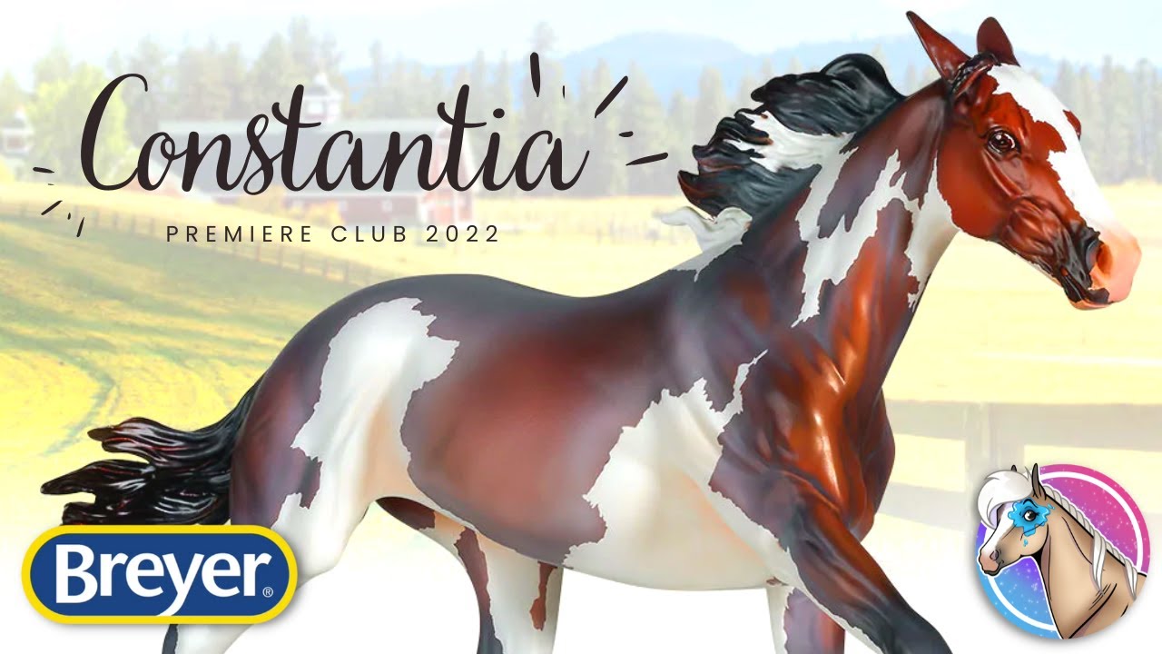 The BEST Standardbred Mold Ever?? | Unboxing Constantia | Breyer Premiere Club - YouTube