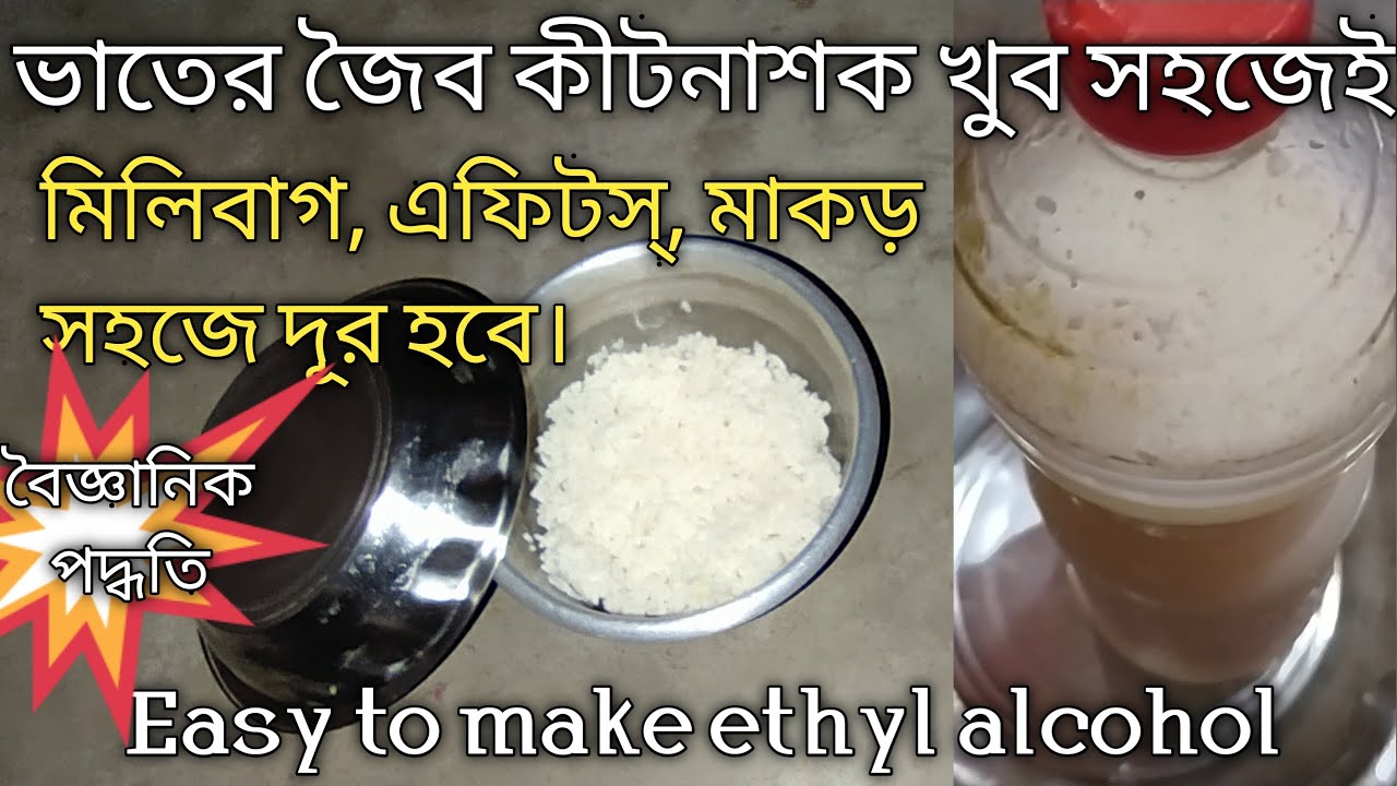 ভাতের জৈব কীটনাশক খুব সহজেই। Easy to make ethyl alcohol. Bhater joibo ...