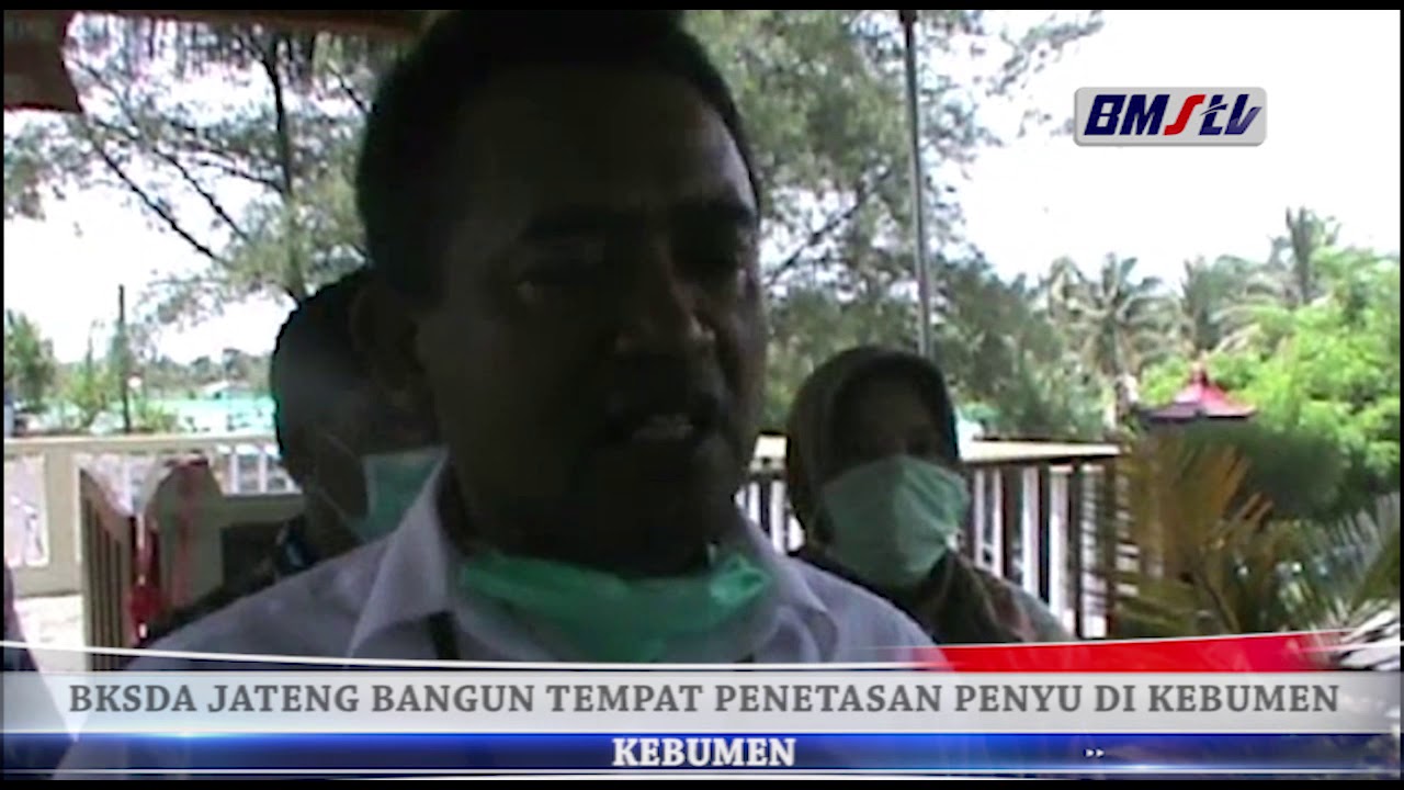 BKSDA JATENG BANGUN TEMPAT PENETASAN PENYU DIKEBUMEN - YouTube