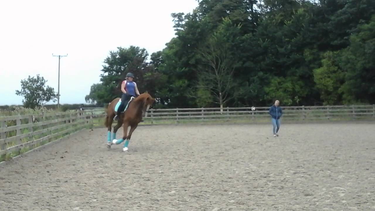 Bobby Hayler lesson at 7 Mile Farm 6 - YouTube
