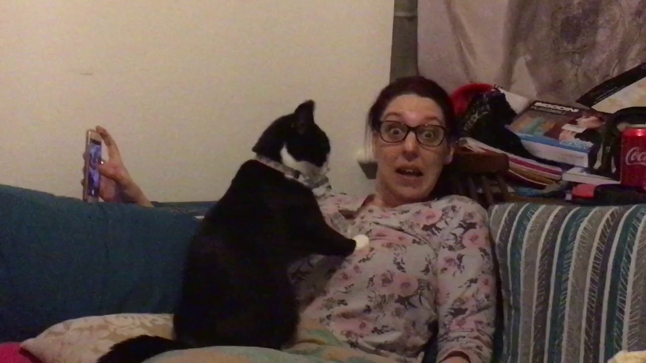 Cat Pervert - YouTube